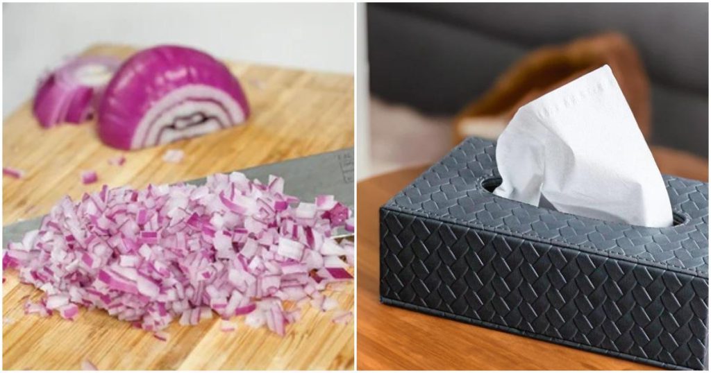 No More Tears: 3 Expert Tips to Cut Onions Without Crying - Movie Vibe